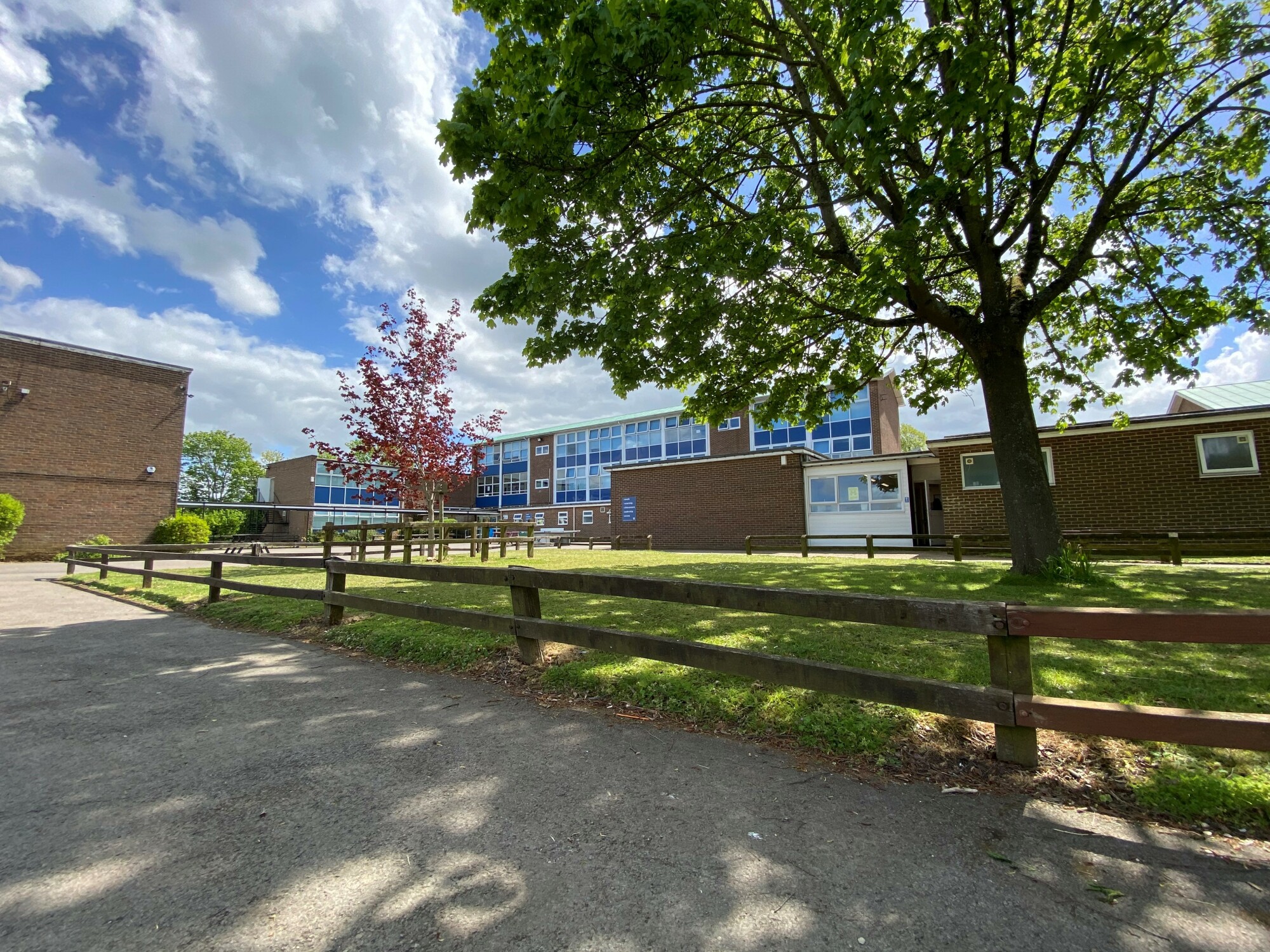 Search Results - Fitzharrys School